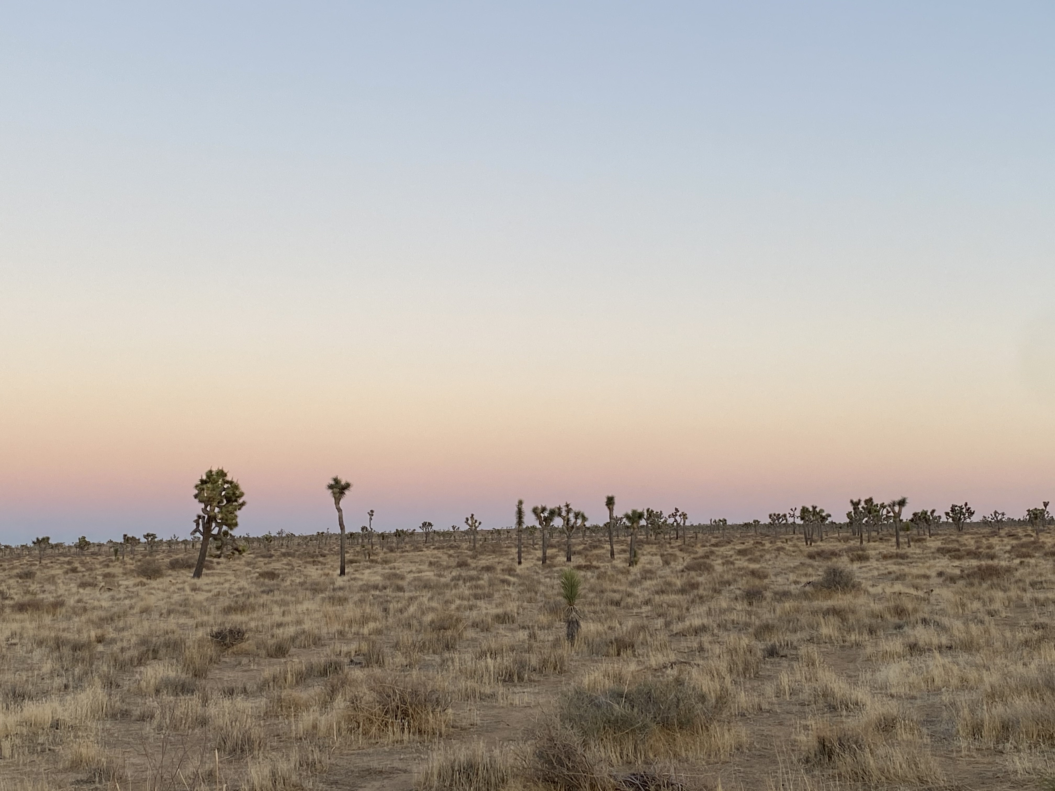 Sharique Hasan – Strategy and Entrepreneurship at Duke University